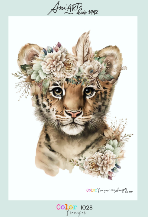 CT1028 COLOR TRANSFER 20X30 — FOLKARTCL